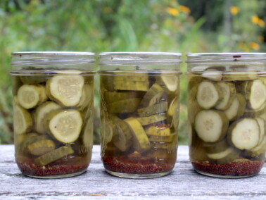 Mango Jam — Practical Self Reliance