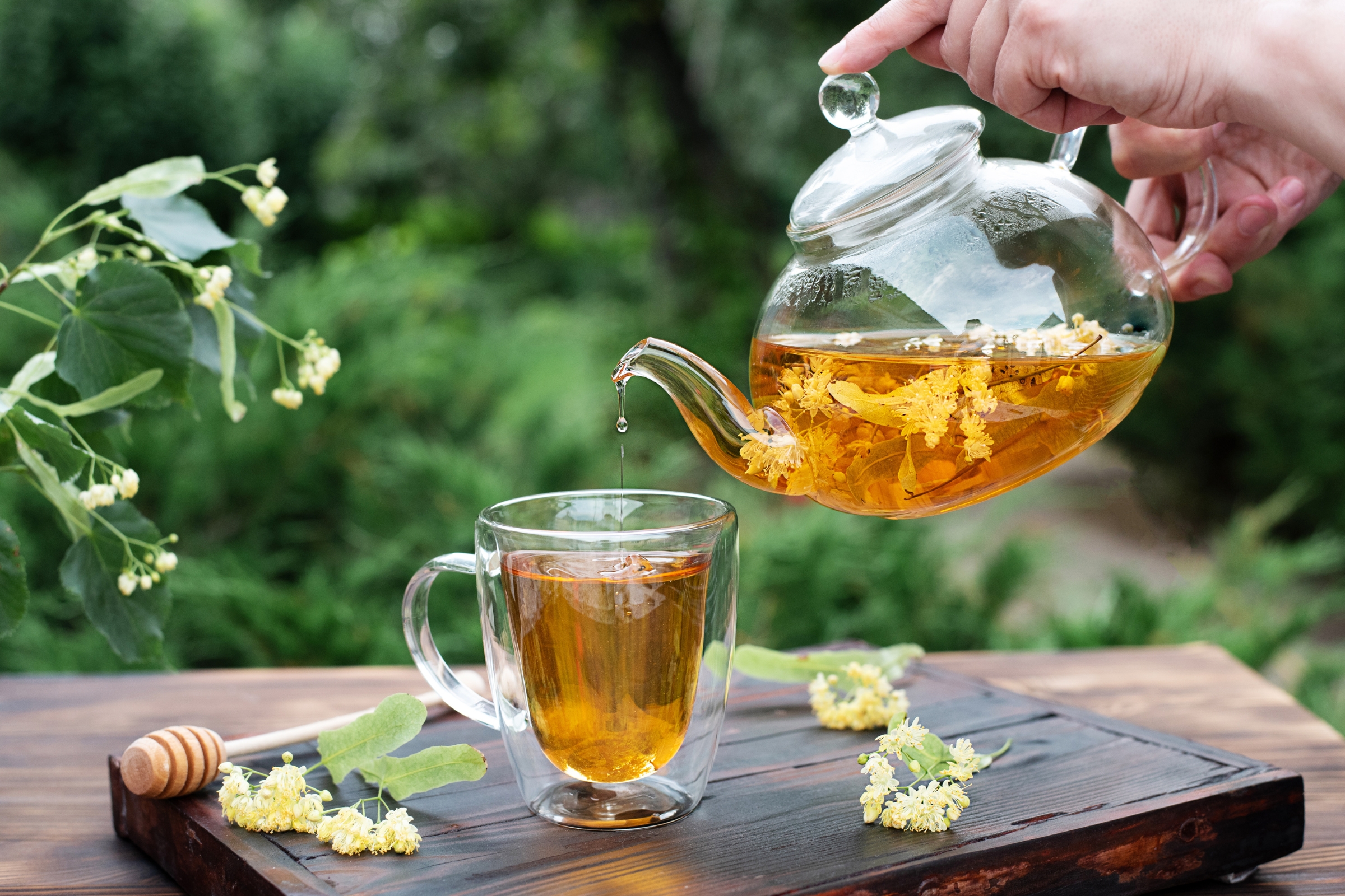 Linden Tea — Practical Self Reliance