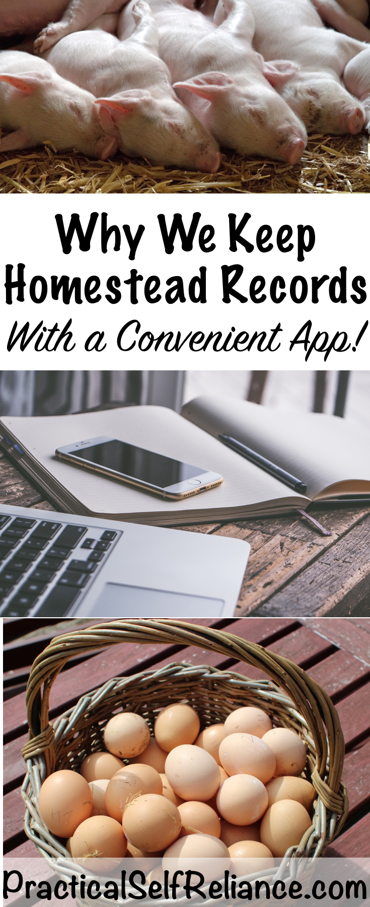 Why We Keep Homestead Records