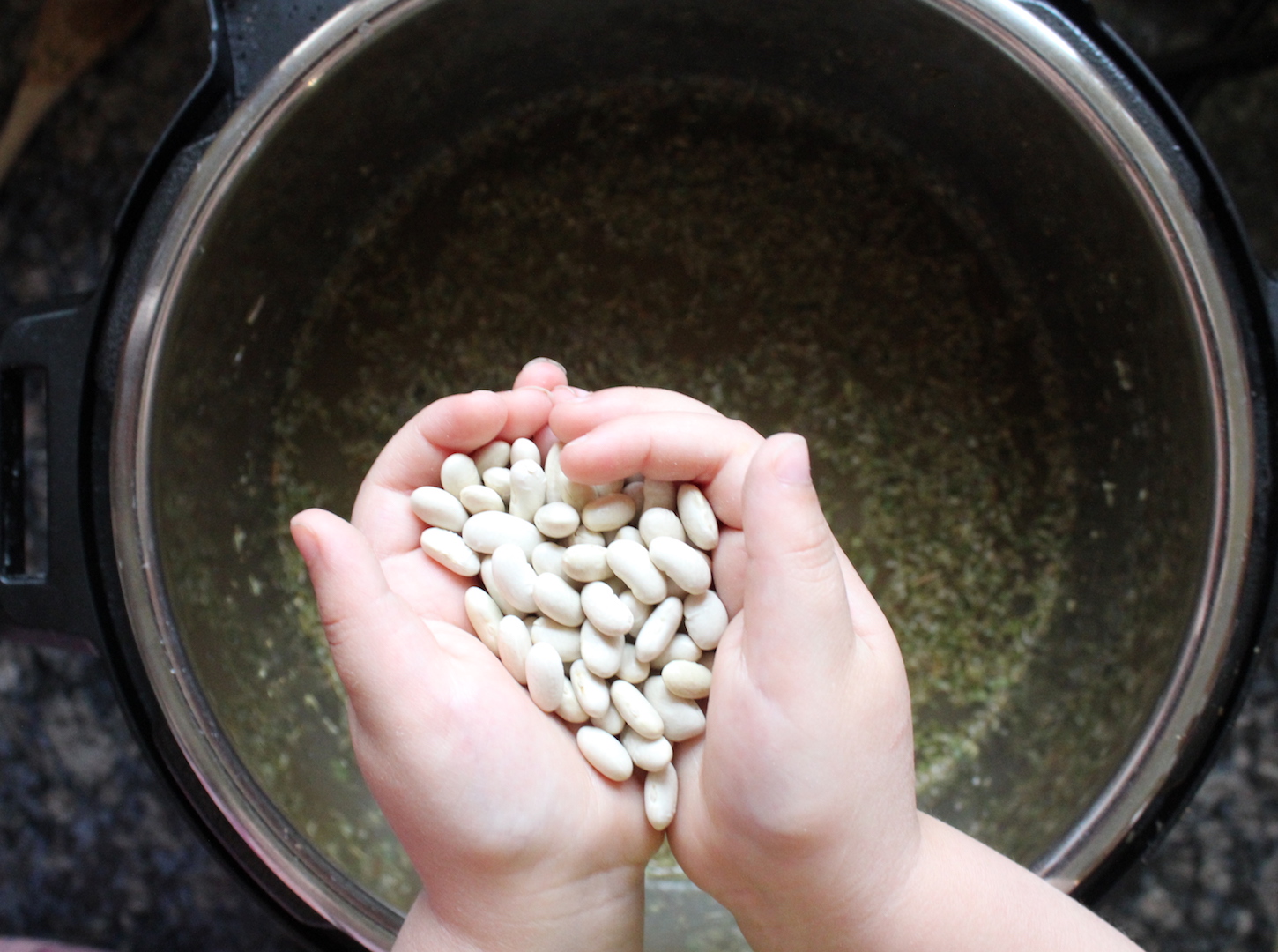 Growing Great Northern Beans