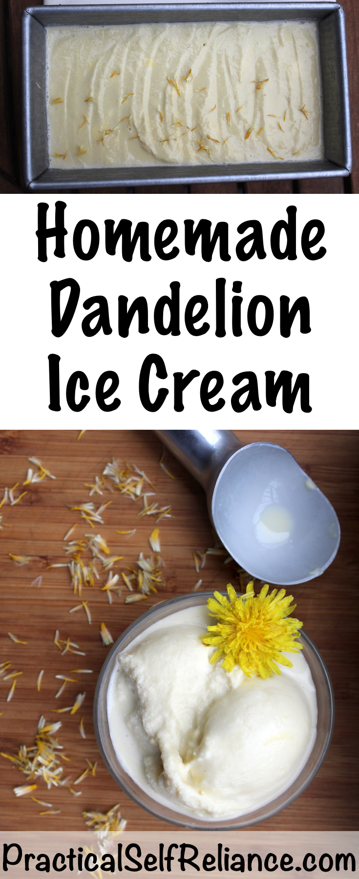 Dandelion & Honey Ice Cream — Practical Self Reliance