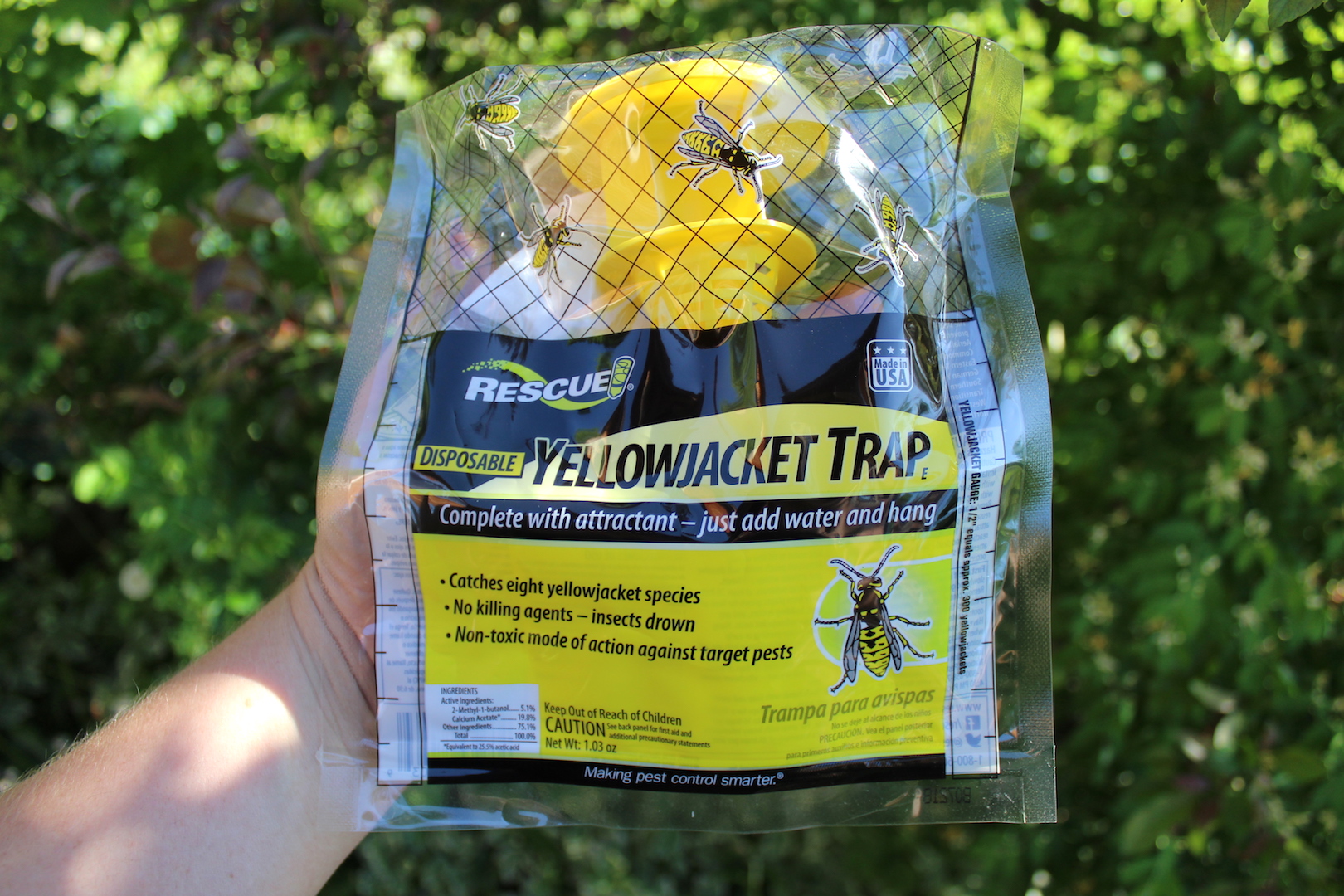Best Wasp Traps