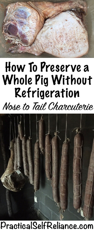 How To Preserve a Whole Pig Without Refrigeration — Practical Self Reliance