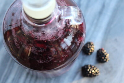 Homemade Blackberry Wine — Practical Self Reliance