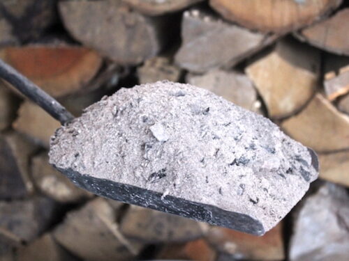 Mango Jam — Practical Self Reliance