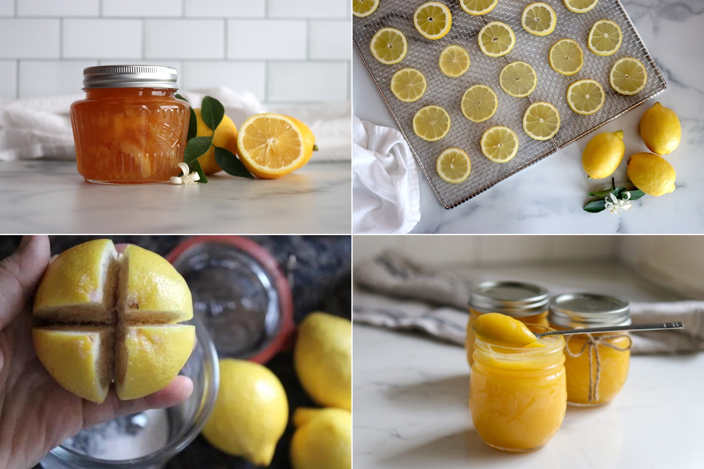 20+ Ways to Preserve Lemons — Practical Self Reliance