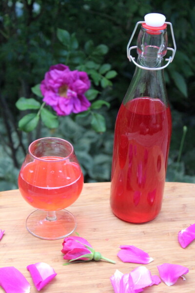 How to Eat a Rose (and Other Ways to Use Them) — Practical Self Reliance