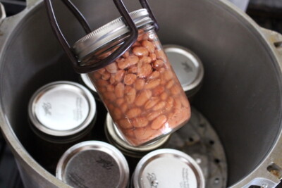 Canning Beans: How to Can Dry Beans at Home — Practical Self Reliance