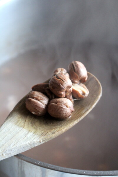 Eating Acorns: 60+ Acorn Recipes from Around the World — Practical Self ...