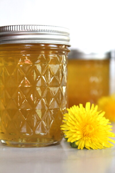 60+ Dandelion Recipes from Blossom to Root — Practical Self Reliance