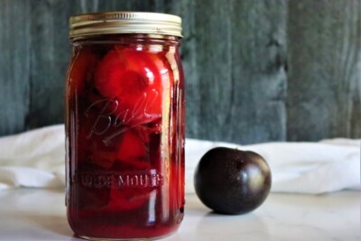 Canning Plums — Practical Self Reliance