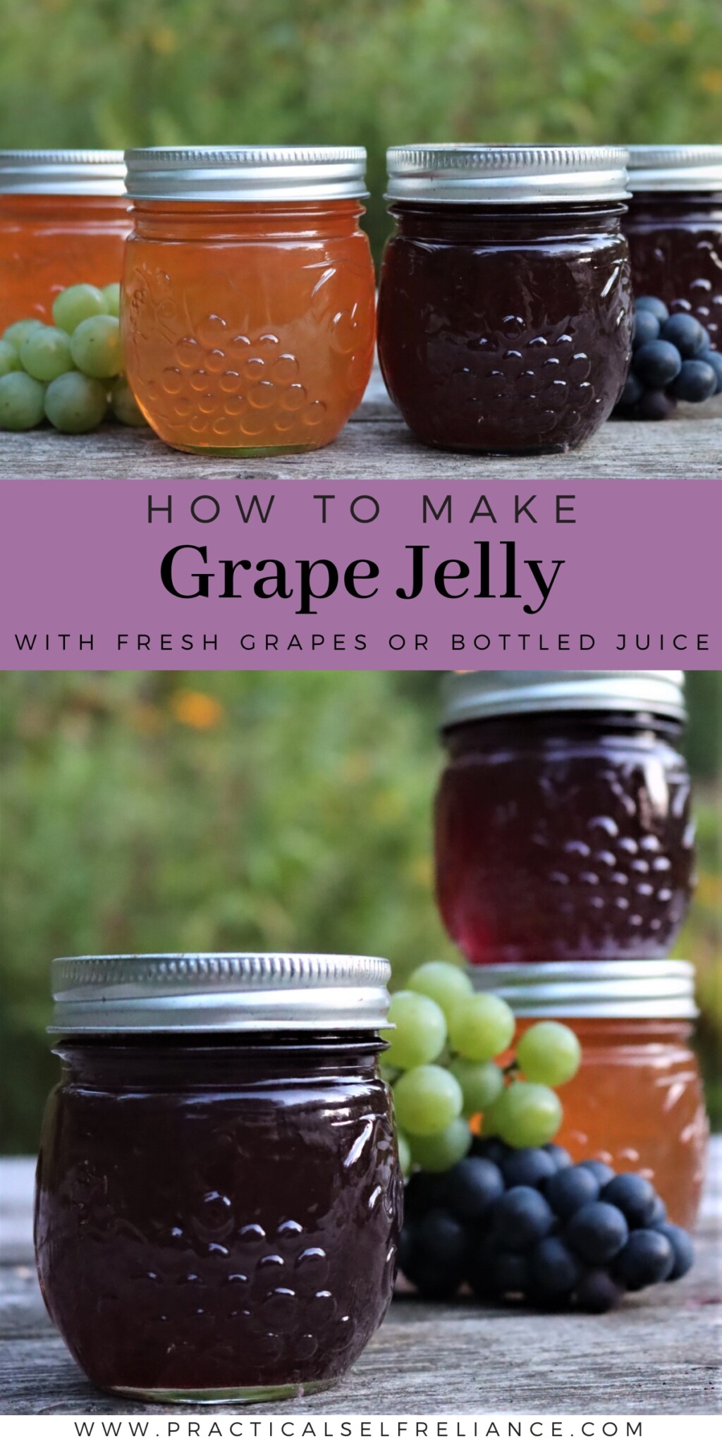 Homemade Grape Jelly Recipe — Practical Self Reliance