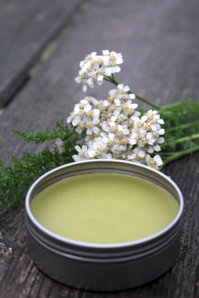 Yarrow Salve Recipe (For Cuts, Burns & Skin Irritation) — Practical ...