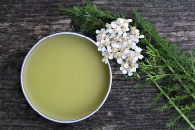 Yarrow Salve Recipe (For Cuts, Burns & Skin Irritation) — Practical ...
