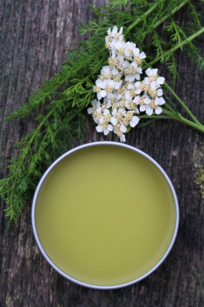 Yarrow Salve — Practical Self Reliance