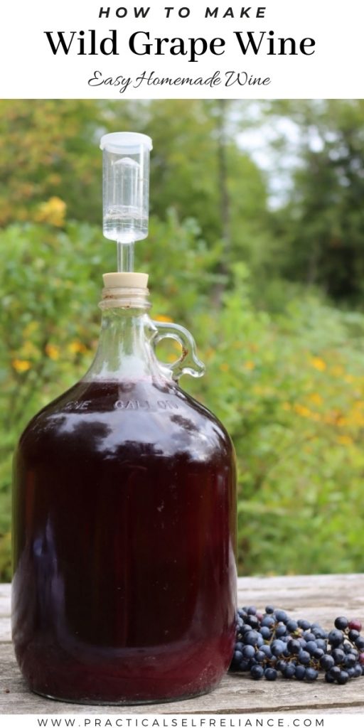 Wild Grape Wine (& Mead) — Practical Self Reliance