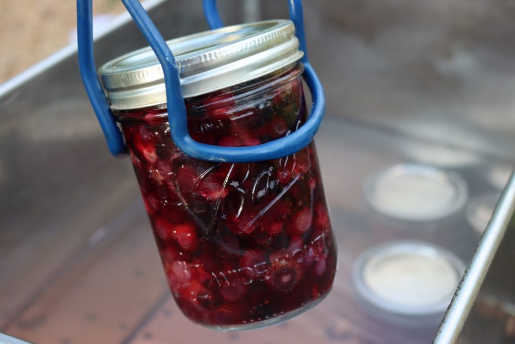 Canning Blueberries — Practical Self Reliance