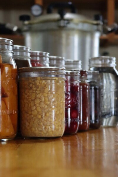 Pressure Canning: Beginners Guide — Practical Self Reliance