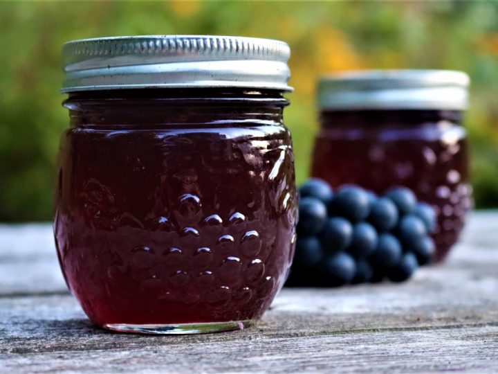 Jelly Recipes Archives — Practical Self Reliance