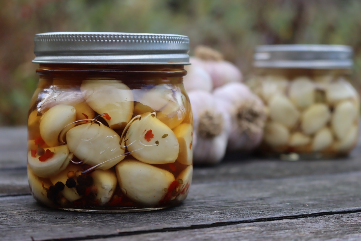 Canning Pickled Garlic Easy Fermented Garlic — 2 Ingredients & No