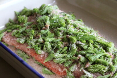 How to Make Gravlax (Salt Cured Salmon) — Practical Self Reliance