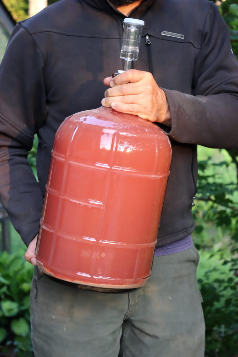 Plum Wine (& Mead) — Practical Self Reliance