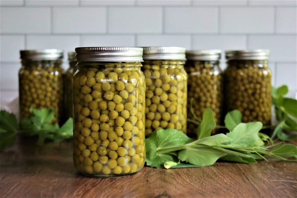 Canning Peas — Practical Self Reliance