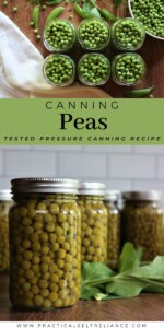 Canning Peas — Practical Self Reliance