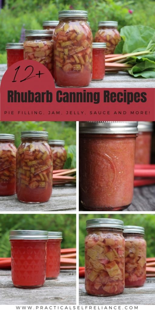 12+ Rhubarb Canning Recipes — Practical Self Reliance