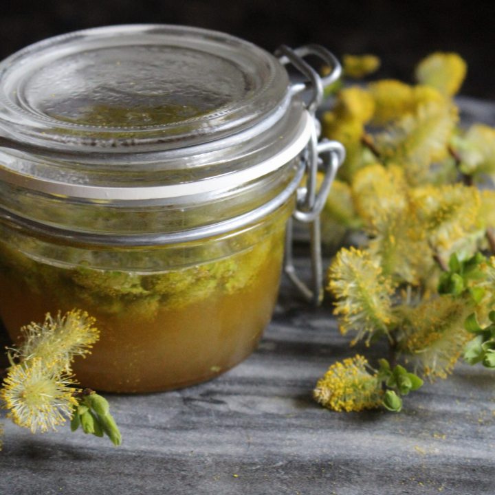How to Make Herbal Infused Honey — Practical Self Reliance