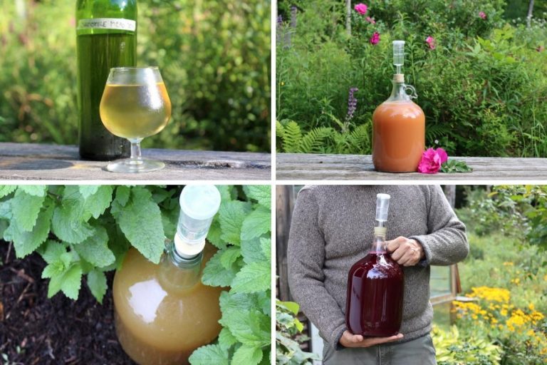 50+ Mead Recipes for Homemade Honey Wine — Practical Self Reliance