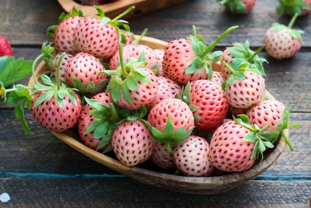 How to Grow Pineberry — Practical Self Reliance