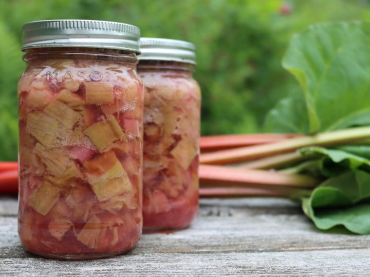 12+ Apple Canning Recipes — Practical Self Reliance