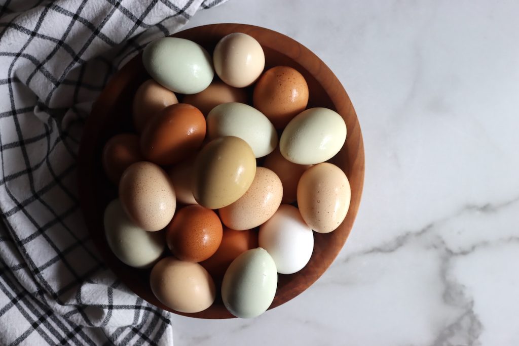 Beginners Guide to Chicken Egg Colors — Practical Self Reliance