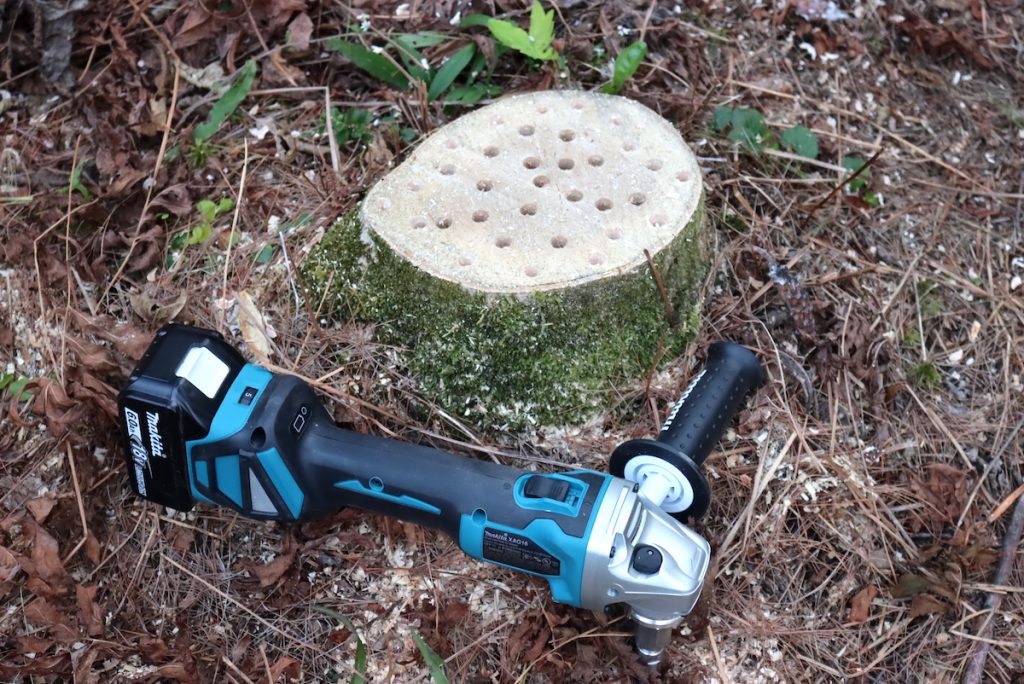 How to Rot a Tree Stump Fast — Practical Self Reliance