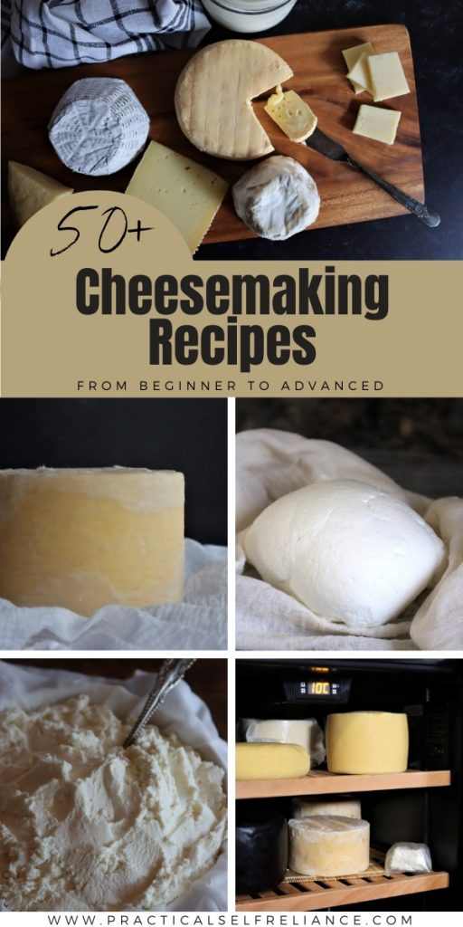 50+ Cheesemaking Recipes (for Beginners and Beyond) — Practical Self ...