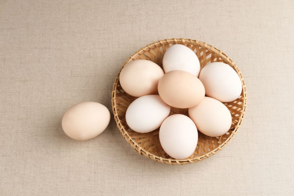 Which Chicken Breeds Lay Pink Eggs? — Practical Self Reliance
