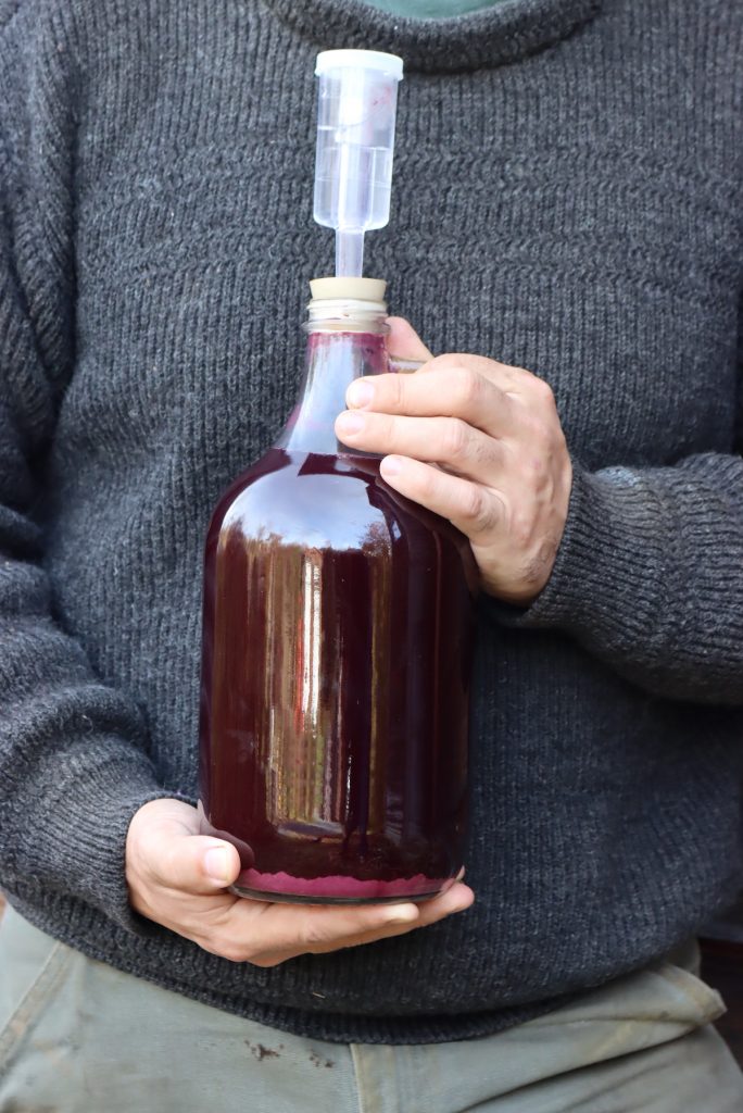 Aronia Wine (& Mead) — Practical Self Reliance