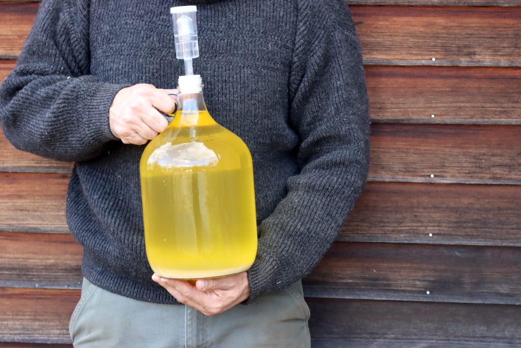 Ground Cherry Wine (and Mead) — Practical Self Reliance