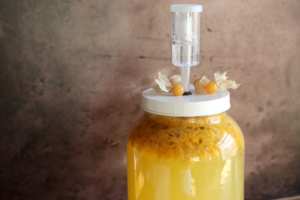Ground Cherry Wine (and Mead) — Practical Self Reliance
