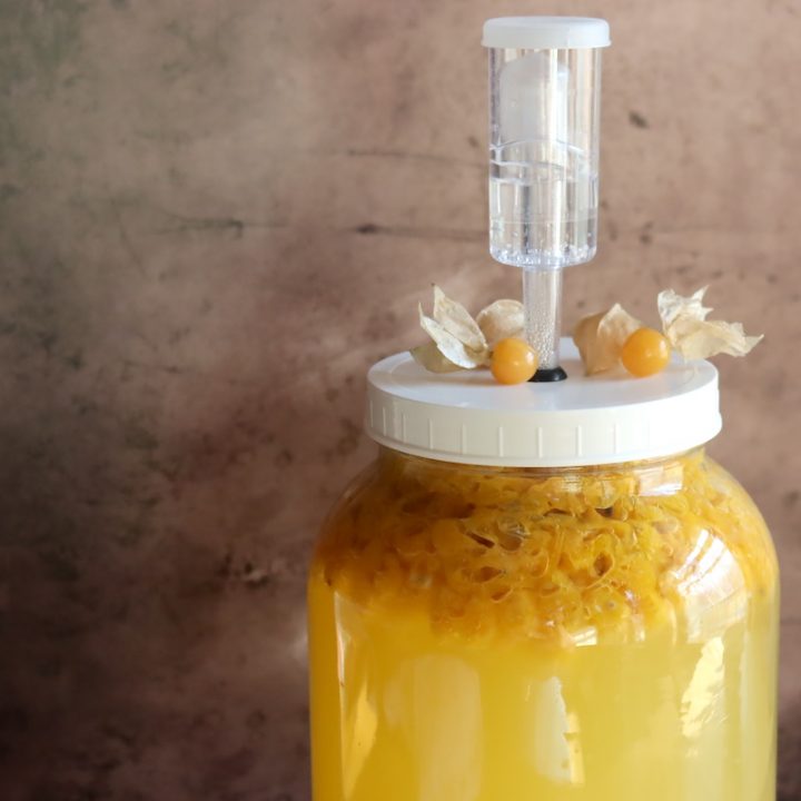 Ground Cherry Wine (and Mead) — Practical Self Reliance