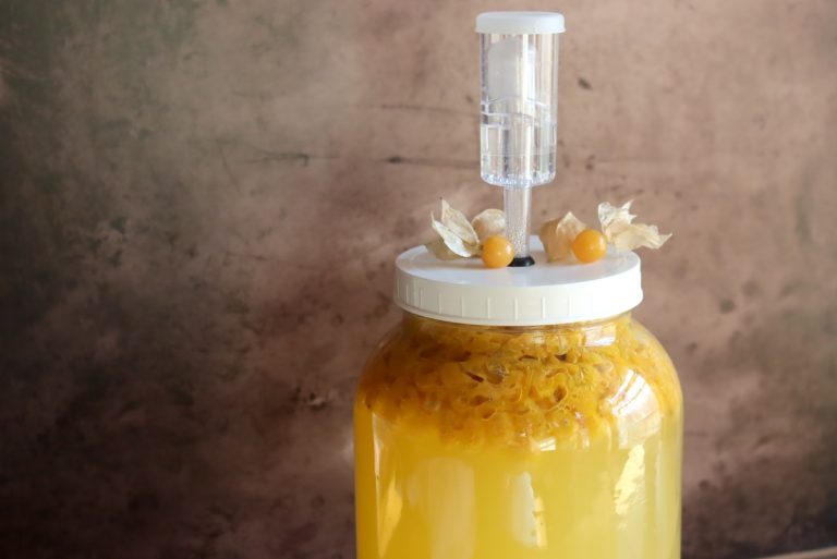 Ground Cherry Wine (and Mead) — Practical Self Reliance