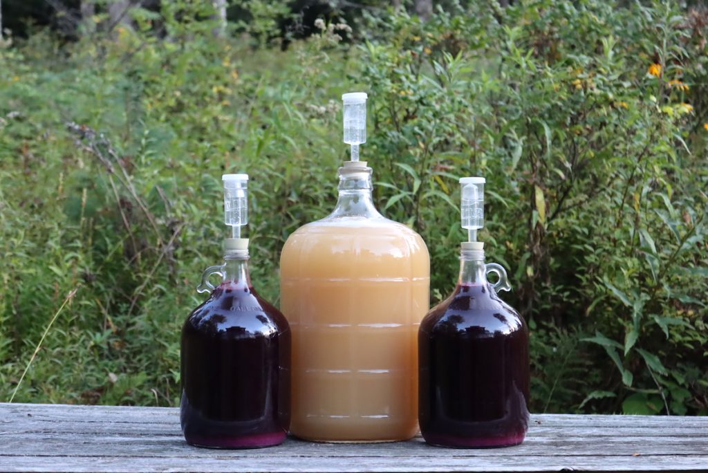 How to Make Wine From Grapes — Practical Self Reliance