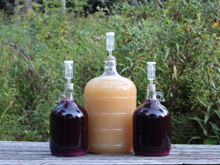 Homemade Wine, Mead, Beer & Cider Archives — Page 3 of 5 — Practical ...