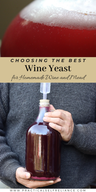 Wine Yeast: Choosing the Right Yeast for Homemade Wine (& Mead ...