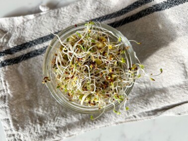 How to Grow Sprouts — Practical Self Reliance