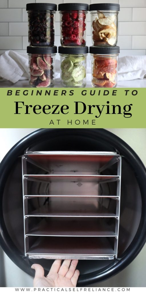 Home Freeze Drying (Beginner's Guide) — Practical Self Reliance