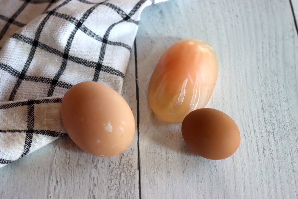 15 Chicken Egg Deformities (And What Causes Them) — Practical Self Reliance