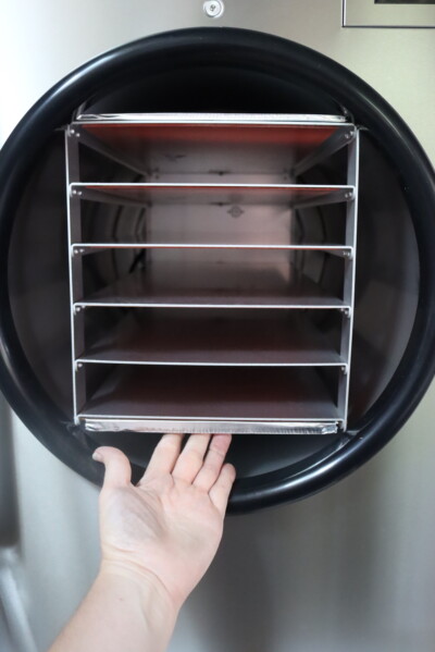 Home Freeze Drying (Beginner's Guide) — Practical Self Reliance