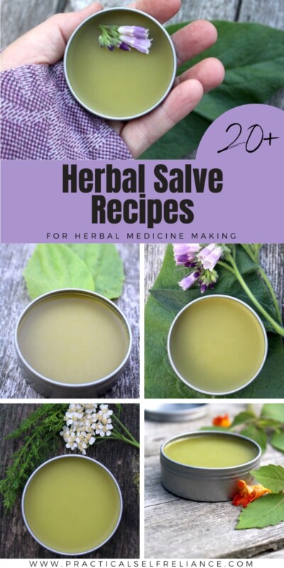 20+ Herbal Salve Recipes — Practical Self Reliance
